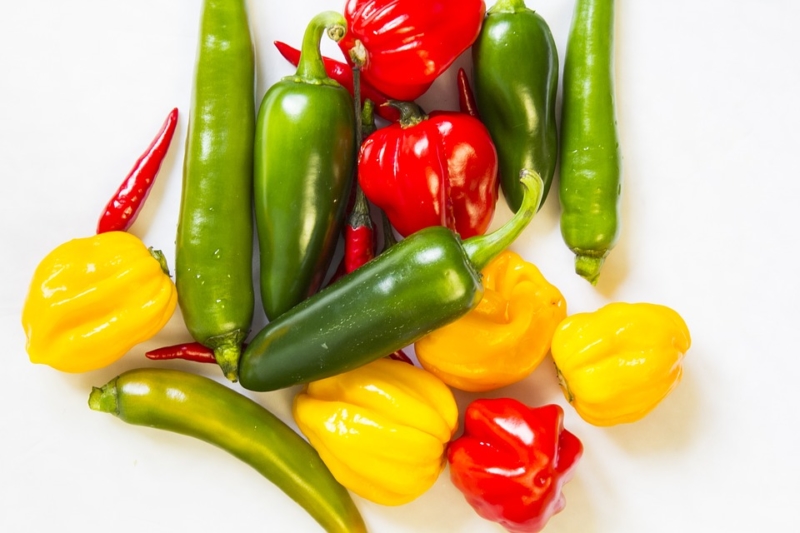 An Ultimate Guide to Chile Peppers